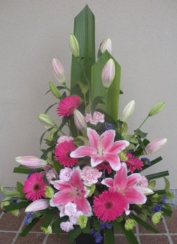 LARGE DISPLAY ARRANGEMENT 2